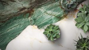 Botanic Green Quartzite